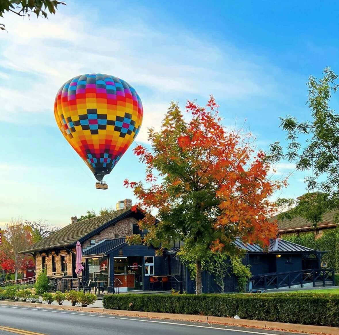 Napa Valley Aloft - The Estate Yountville Resort